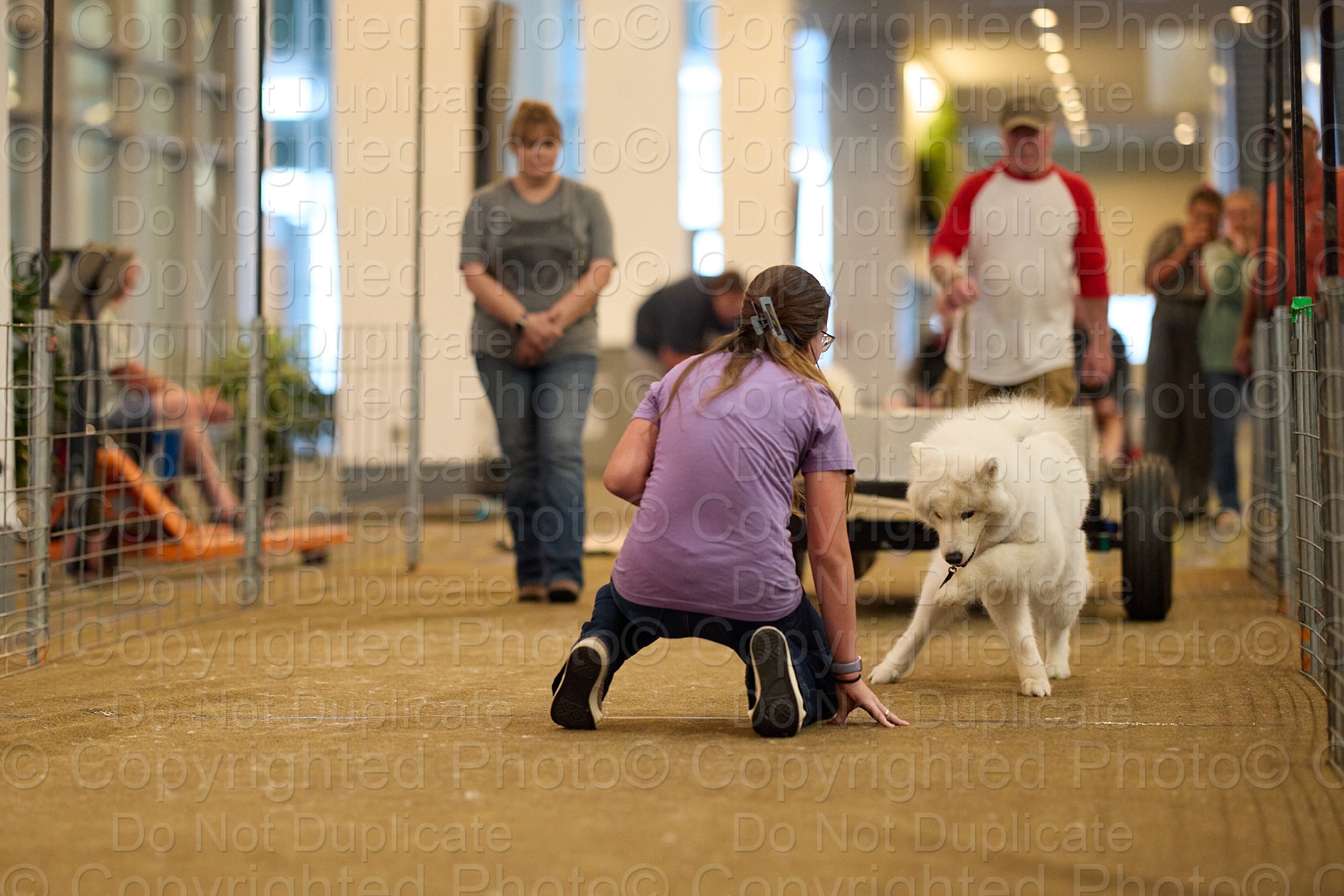 Weight Pull (Sanctioned) - SCA National Specialty 2024 - 10/22/2024 ...